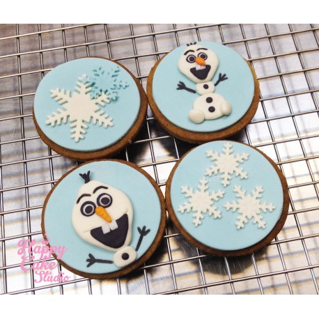 Customized Frozen Cookies